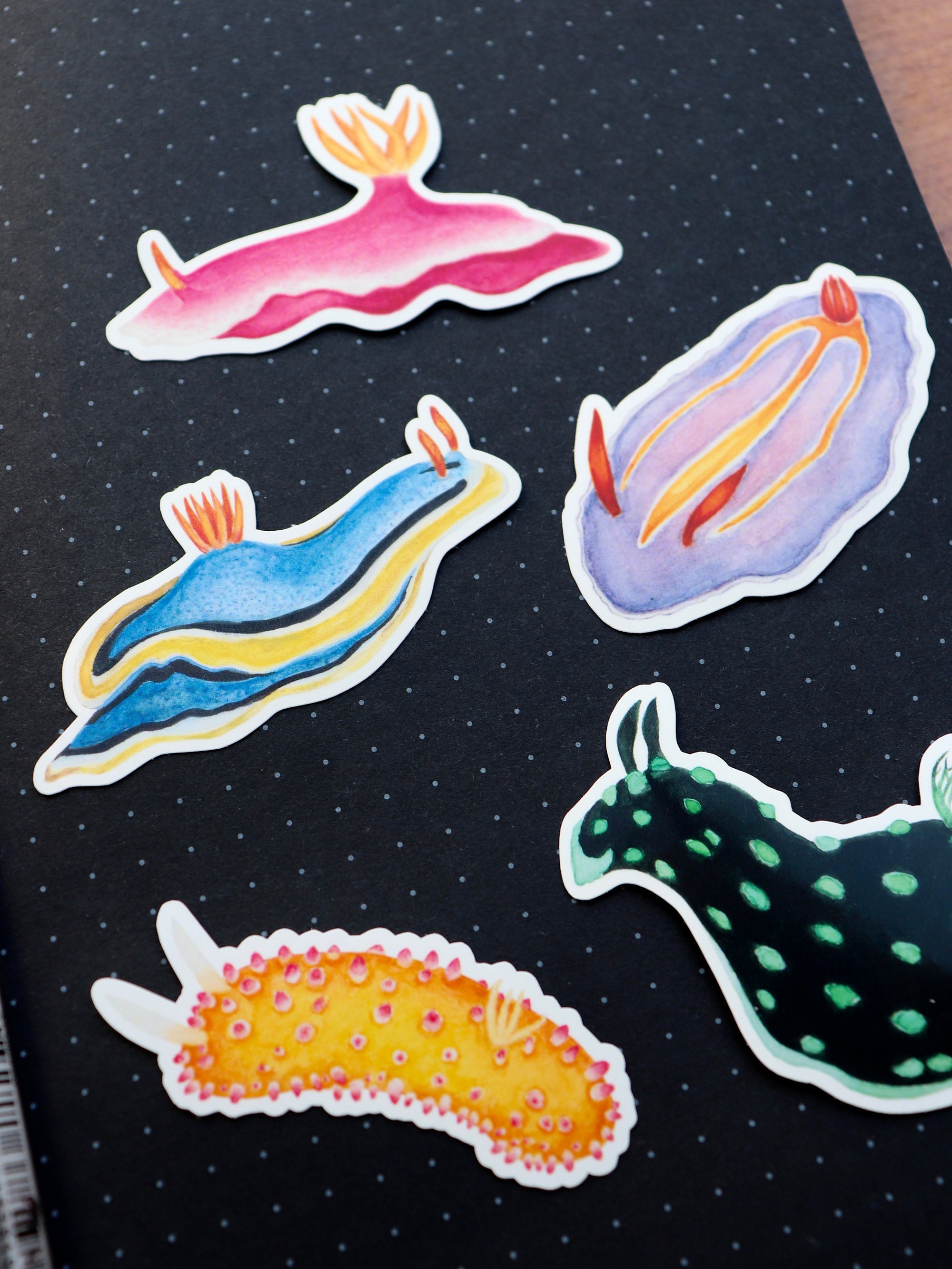 Nudibranch Sticker Set I Sea Slug Vinyl Sticker Marine Life - Etsy UK