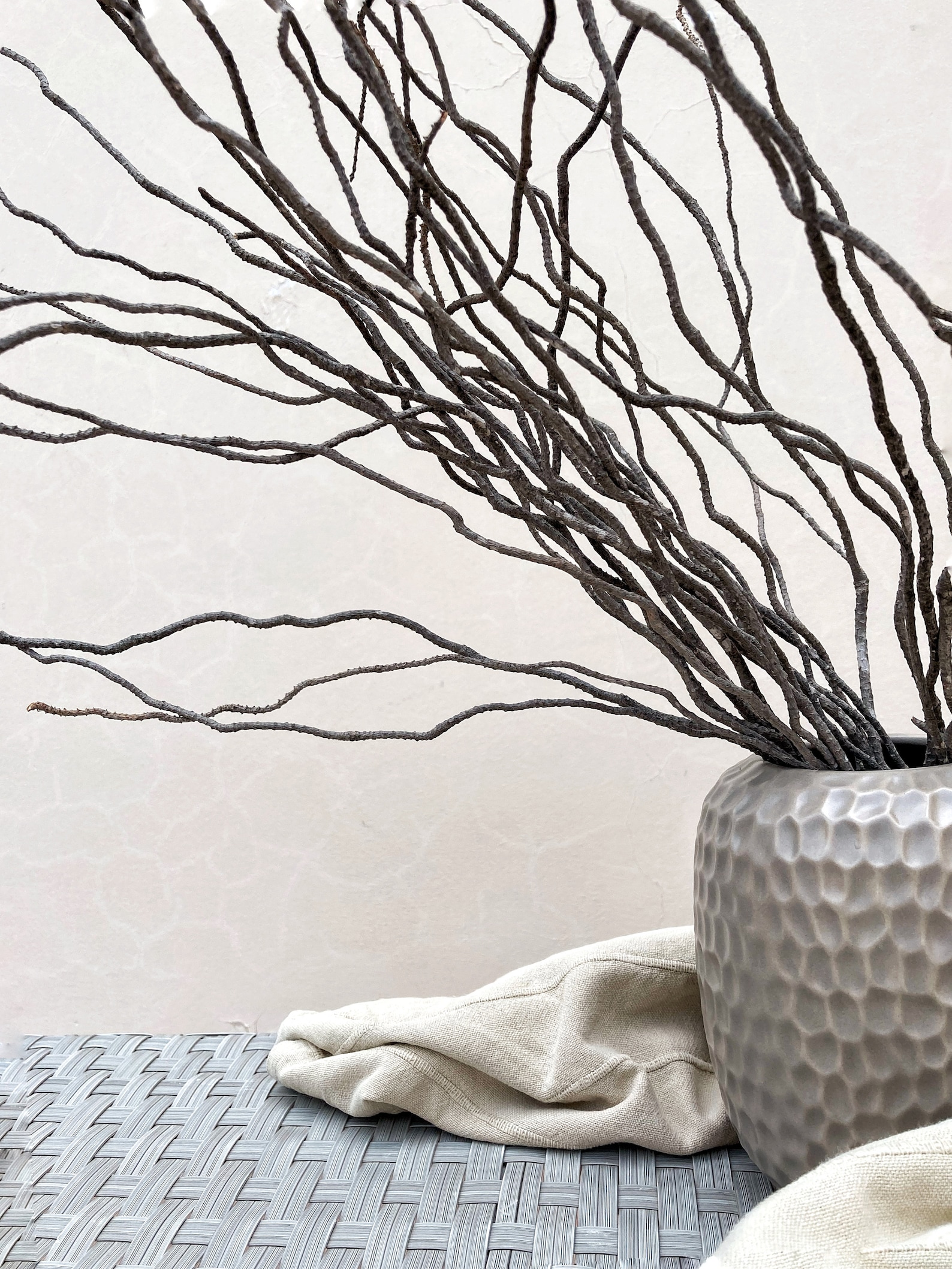 Curly Branches, Curvy Curly Dried Pine Tree Branches, Bundle of 25 ...