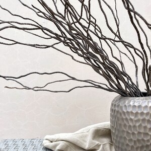 Curly Branches, Curvy Curly Dried Pine Tree Branches, Bundle of 25 ...