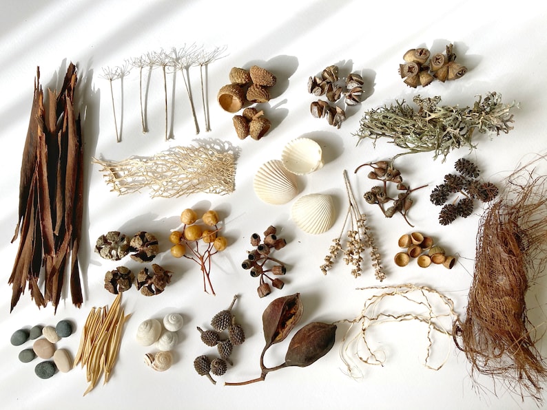 Forest Mix Box Forest Finds Box Woodland Decor Set Craft - Etsy