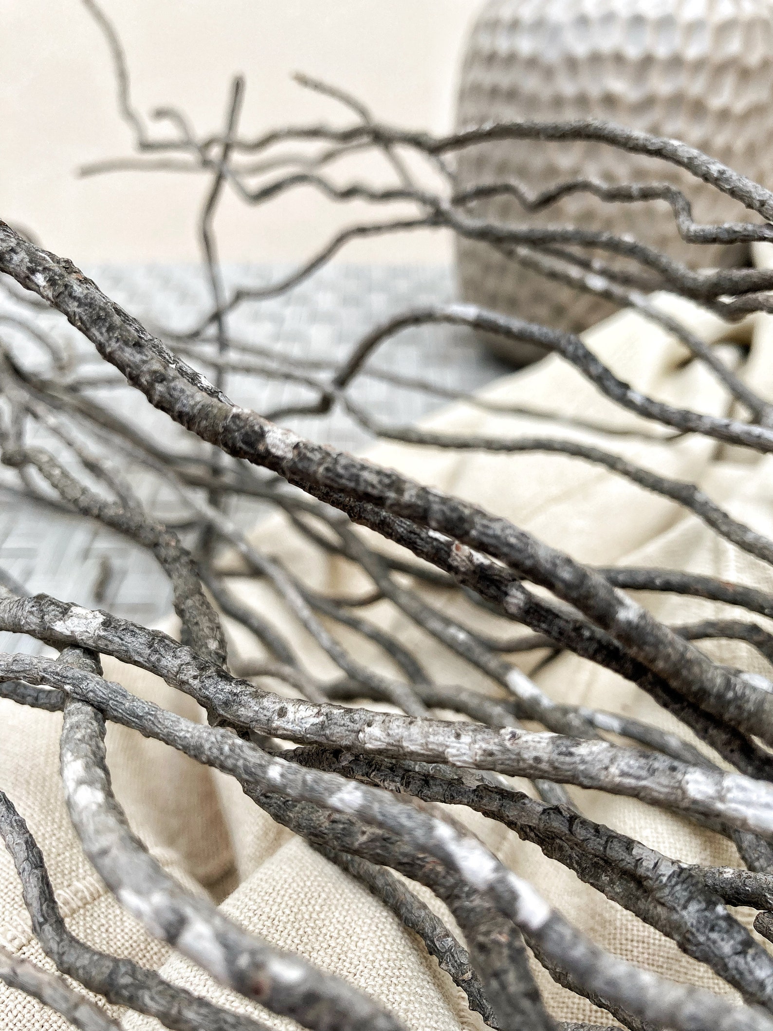 Curly Branches, Curvy Curly Dried Pine Tree Branches, Bundle of 25 ...