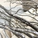 Curly Branches, Curvy Curly Dried Pine Tree Branches, Bundle of 25 ...