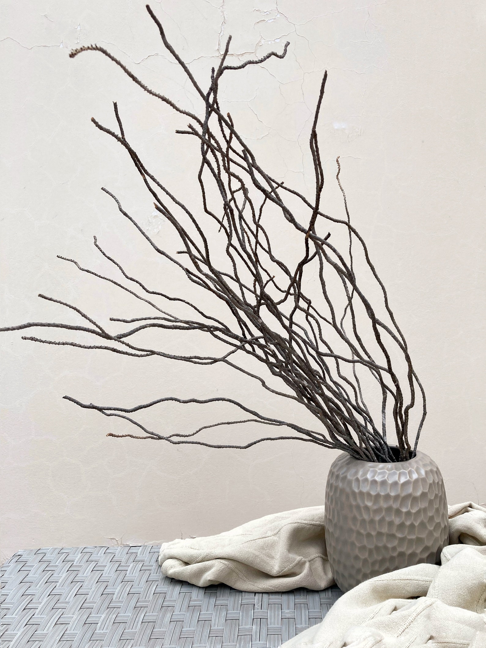 Curly Branches, Curvy Curly Dried Pine Tree Branches, Bundle of 25 ...