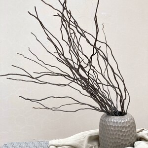 Curly Branches, Curvy Curly Dried Pine Tree Branches, Bundle of 25 ...