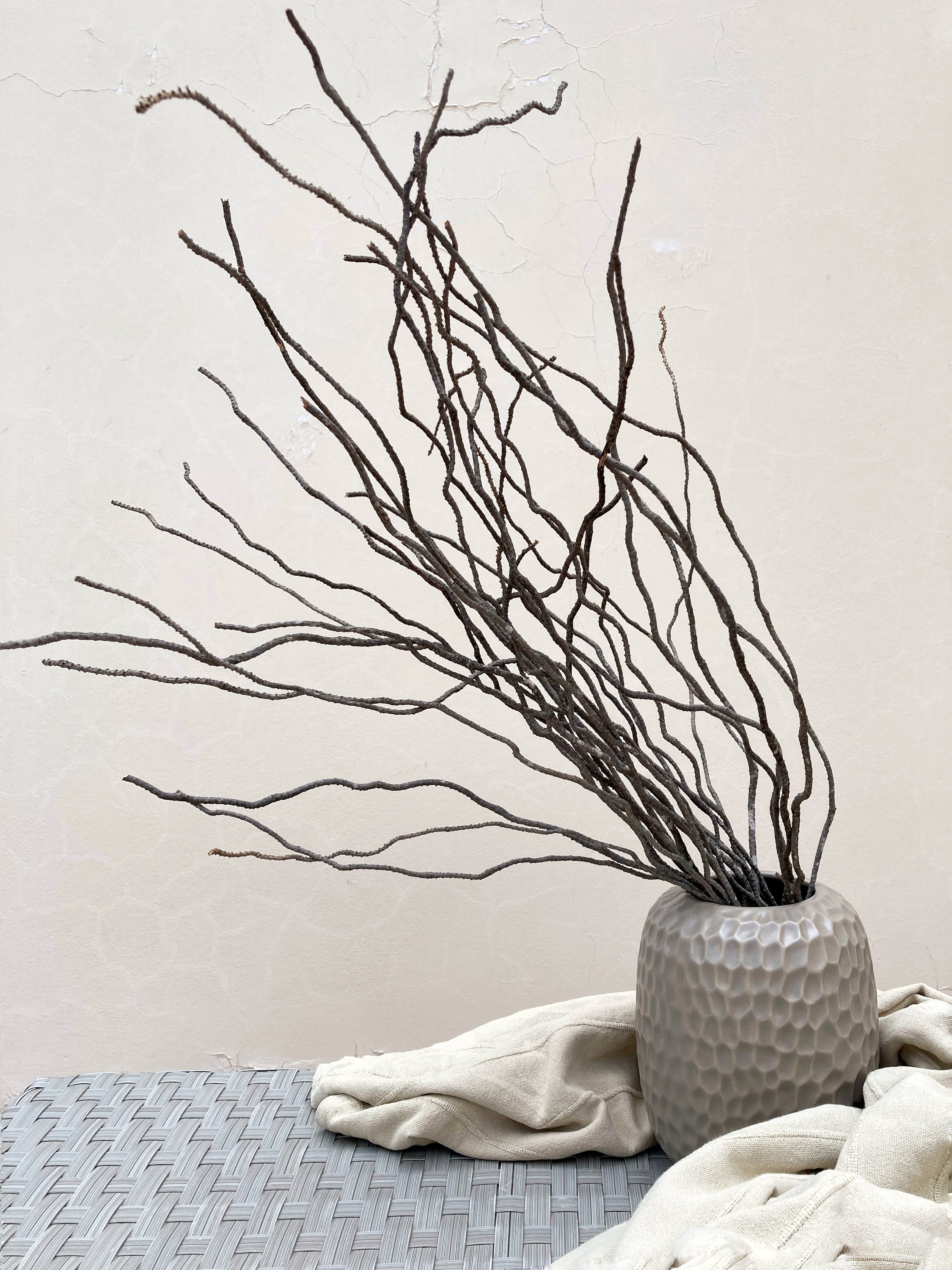 Curly Branches, Curvy Curly Dried Pine Tree Branches, Bundle of 25 ...