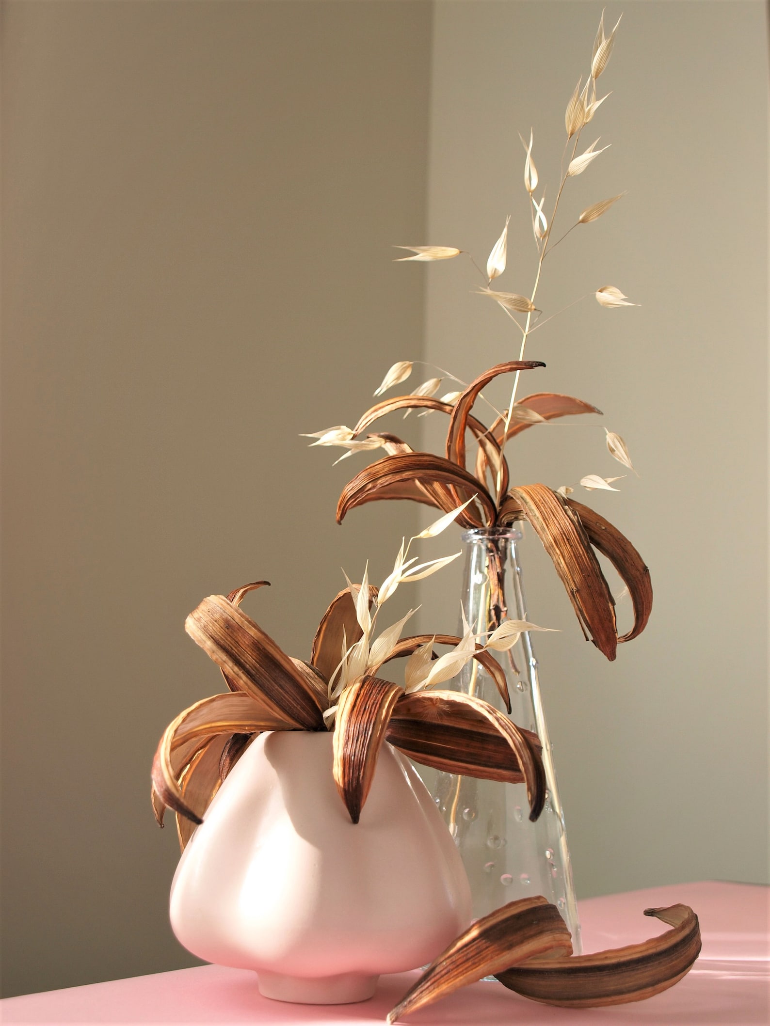 Nerium Oleander Seed Pods, Dried Seed Pods, Dried Seed Pods for Florals ...