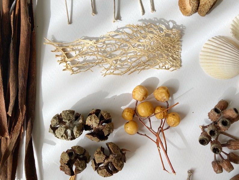 Forest Mix Box, Forest Finds Box, Woodland Decor Set, Craft Supplies ...