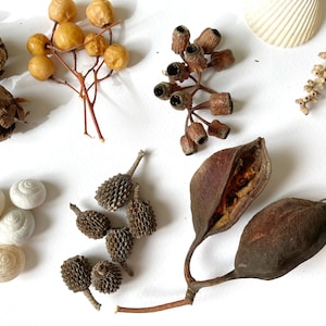 Forest Mix Box, Forest Finds Box, Woodland Decor Set, Craft Supplies ...