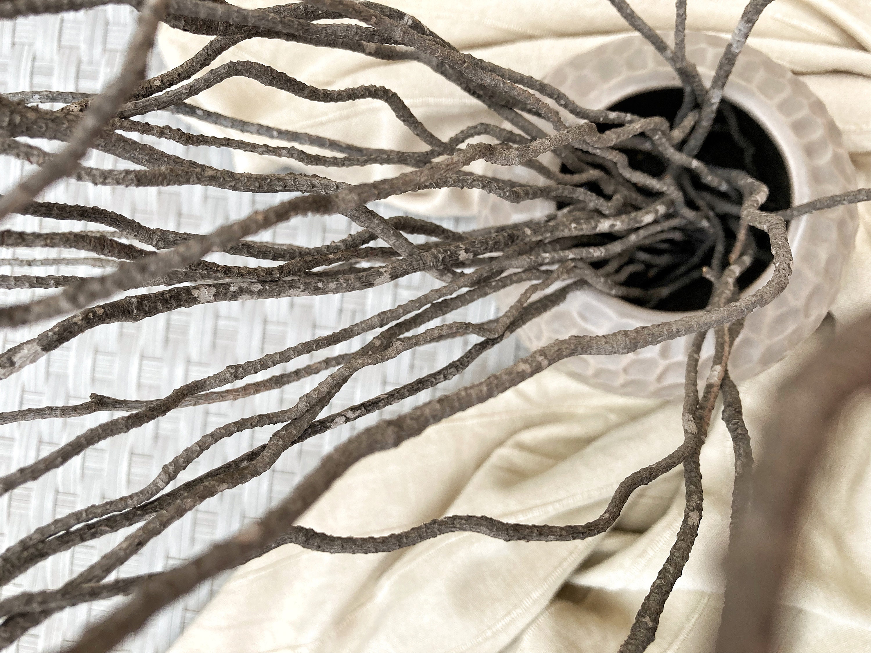 Curly Branches, Curvy Curly Dried Pine Tree Branches, Bundle of 25 ...