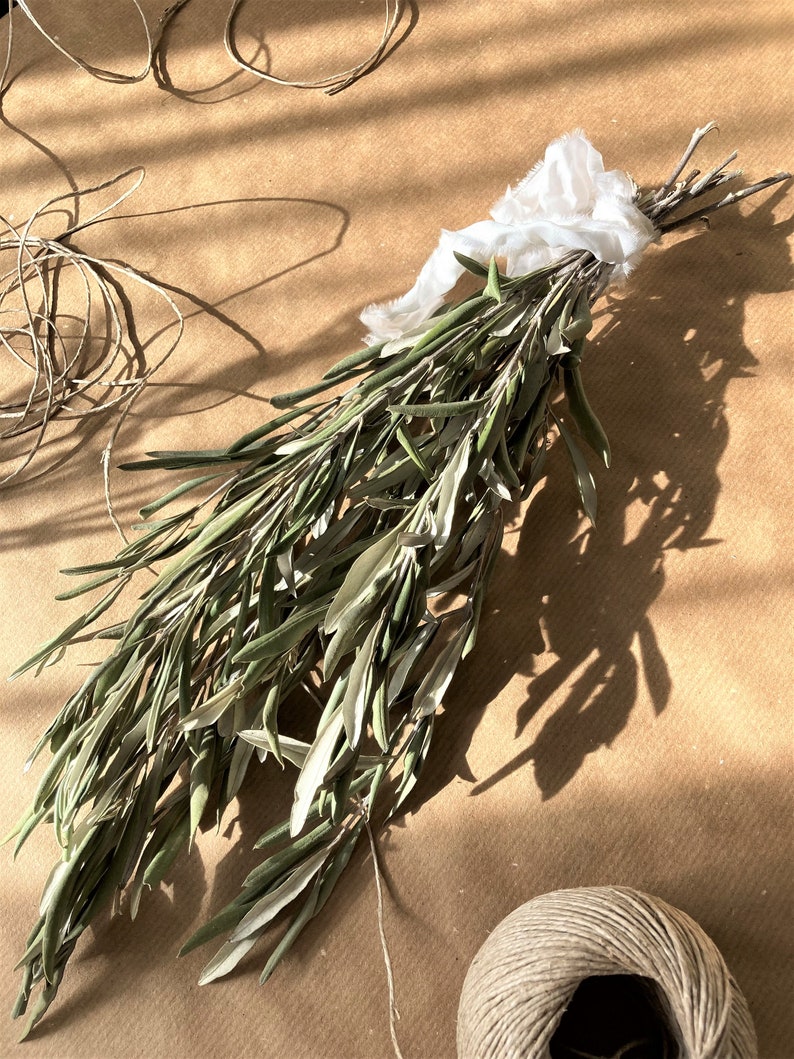 Olive Branches, Bunch of Olive Branches, Decorative Olive Stems , Dried ...