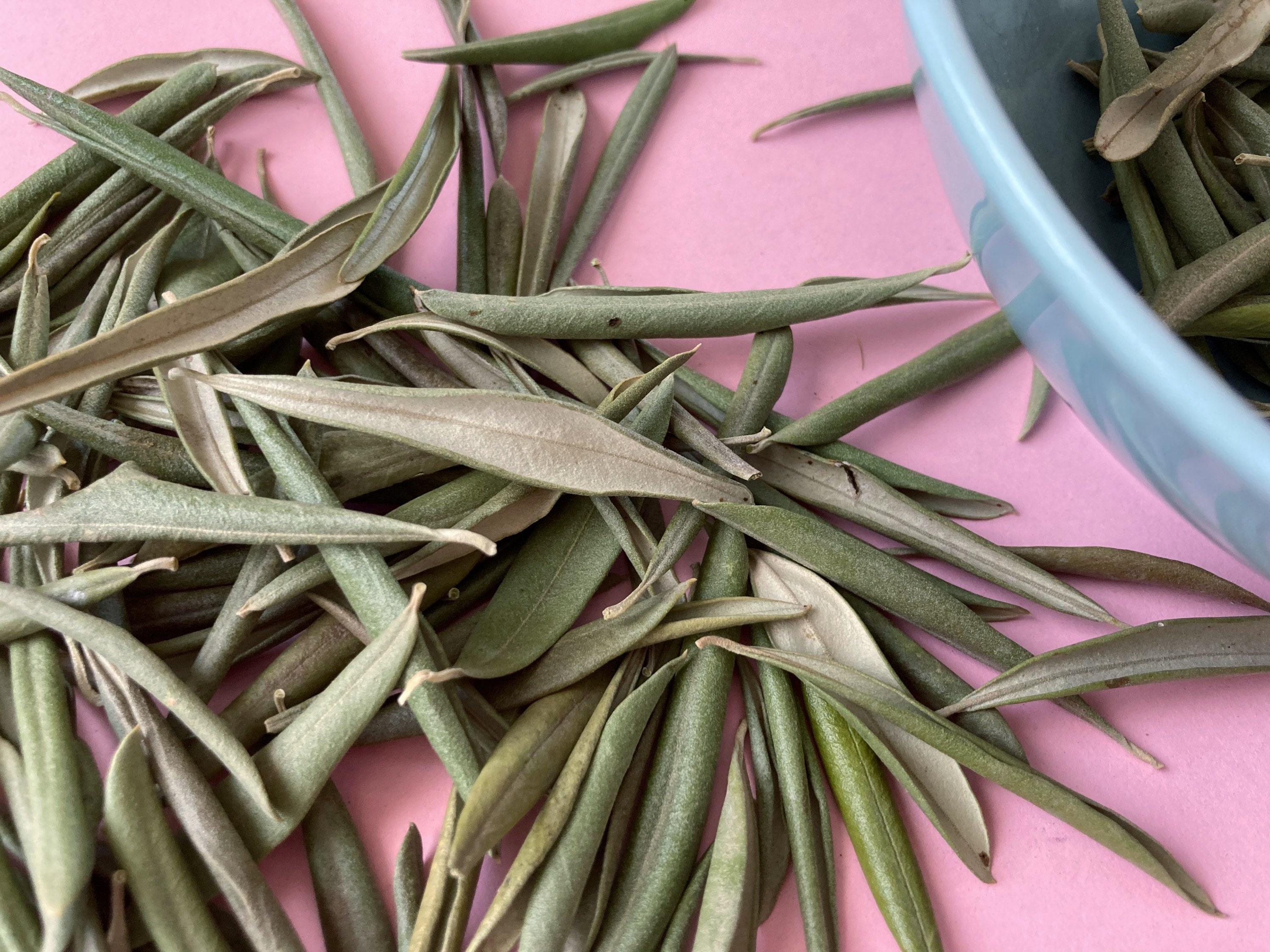 Olive Leaf Confetti Dried Olive Leaves Biodegradable Wedding - Etsy