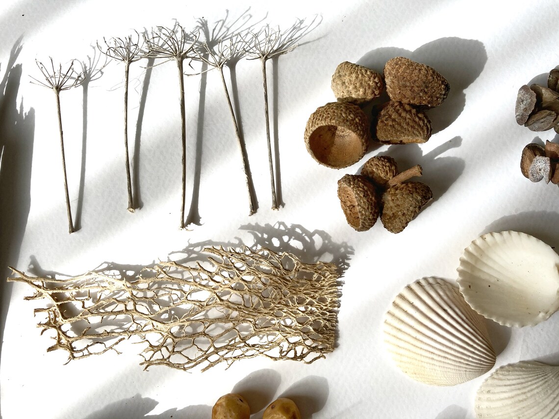 Forest Mix Box Forest Finds Box Woodland Decor Set Craft - Etsy