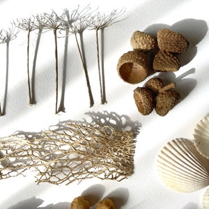 Forest Mix Box, Forest Finds Box, Woodland Decor Set, Craft Supplies ...