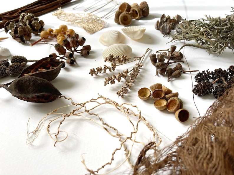 Forest Mix Box, Forest Finds Box, Woodland Decor Set, Craft Supplies ...