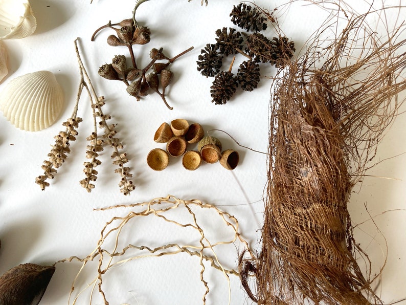 Forest Mix Box Forest Finds Box Woodland Decor Set Craft - Etsy