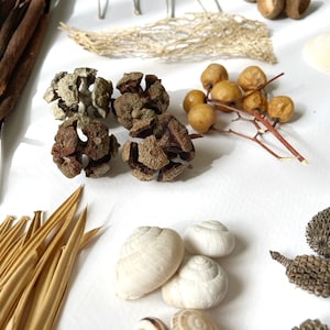 Forest Mix Box, Forest Finds Box, Woodland Decor Set, Craft Supplies ...