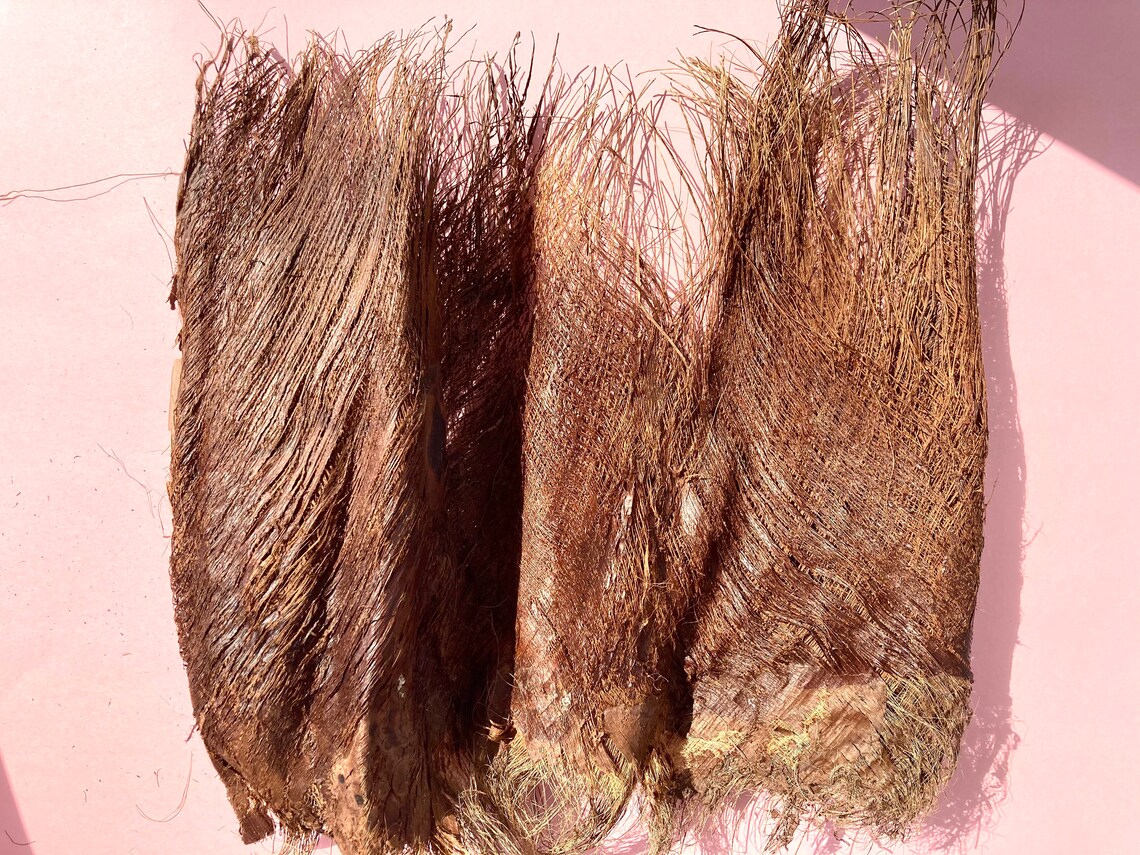 Palm tree fiber Palm tree bark Palm husk Palm fiber sheets | Etsy