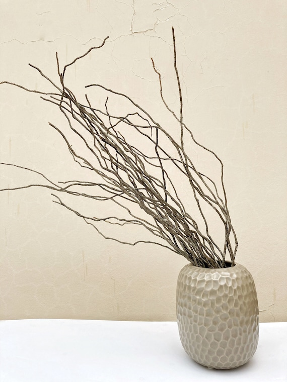 Curly Branches Curvy Curly Dried Pine Tree Branches Bundle | Etsy