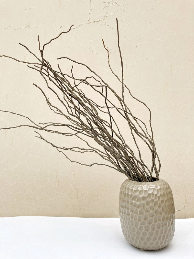 Curly Branches, Curvy Curly Dried Pine Tree Branches, Bundle of 25 ...