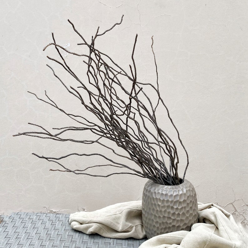 Curly Branches, Curvy Curly Dried Pine Tree Branches, Bundle of 25 ...