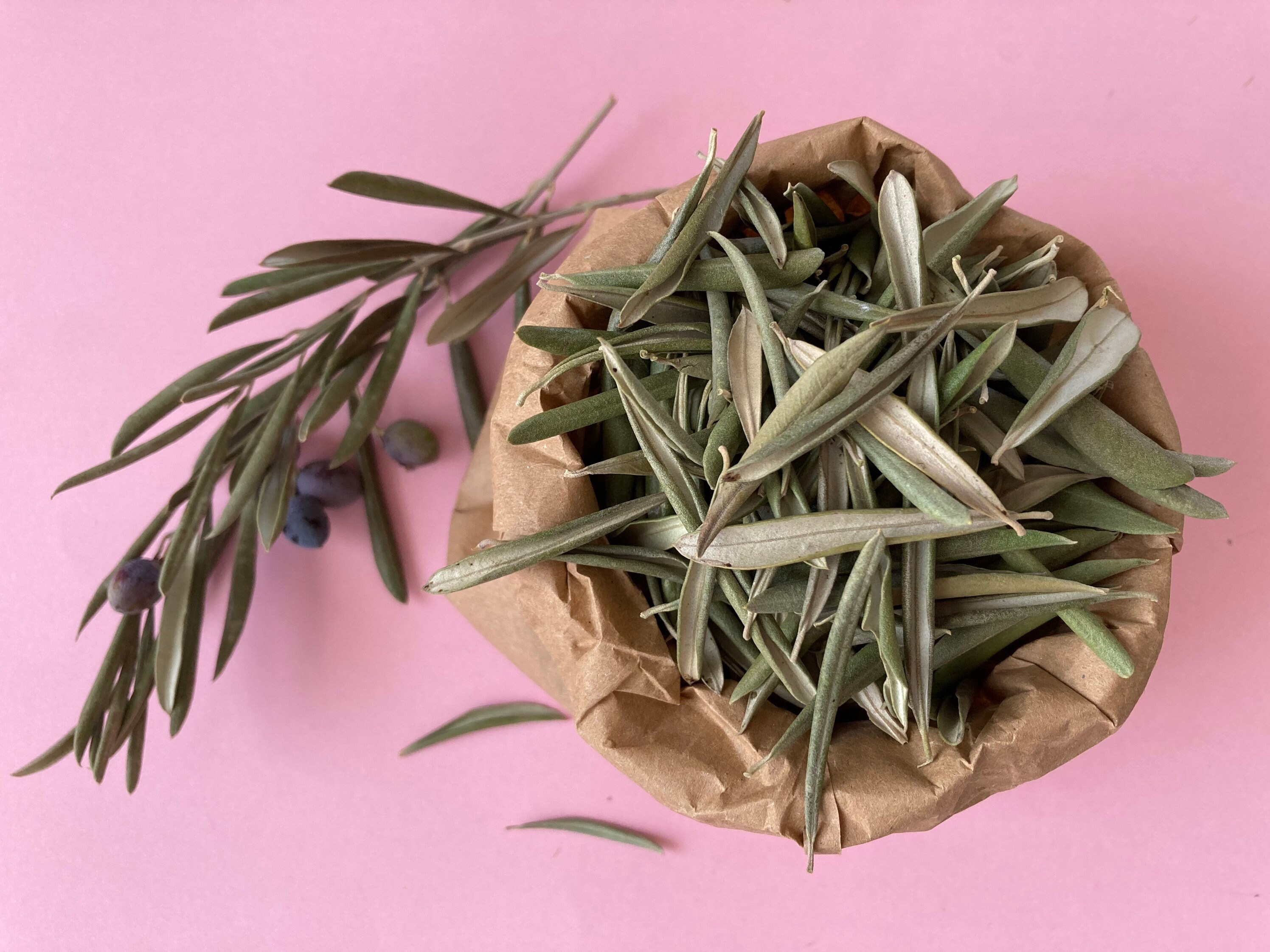 Olive Leaf Confetti Dried Olive Leaves Biodegradable Wedding - Etsy