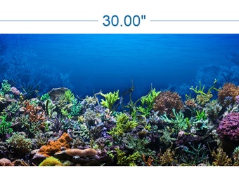 Sunlit Coral Reef Aquarium Background Sticker – Waterproof Vinyl Poster ...