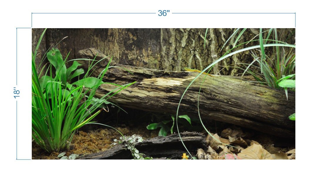 Terrarium Background Tropical Environment - Vinyl Graphic Adhesive ...