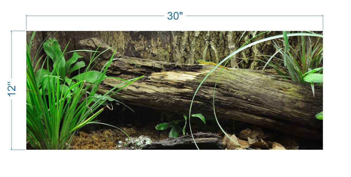 Terrarium Background Tropical Environment - Vinyl Graphic Adhesive ...