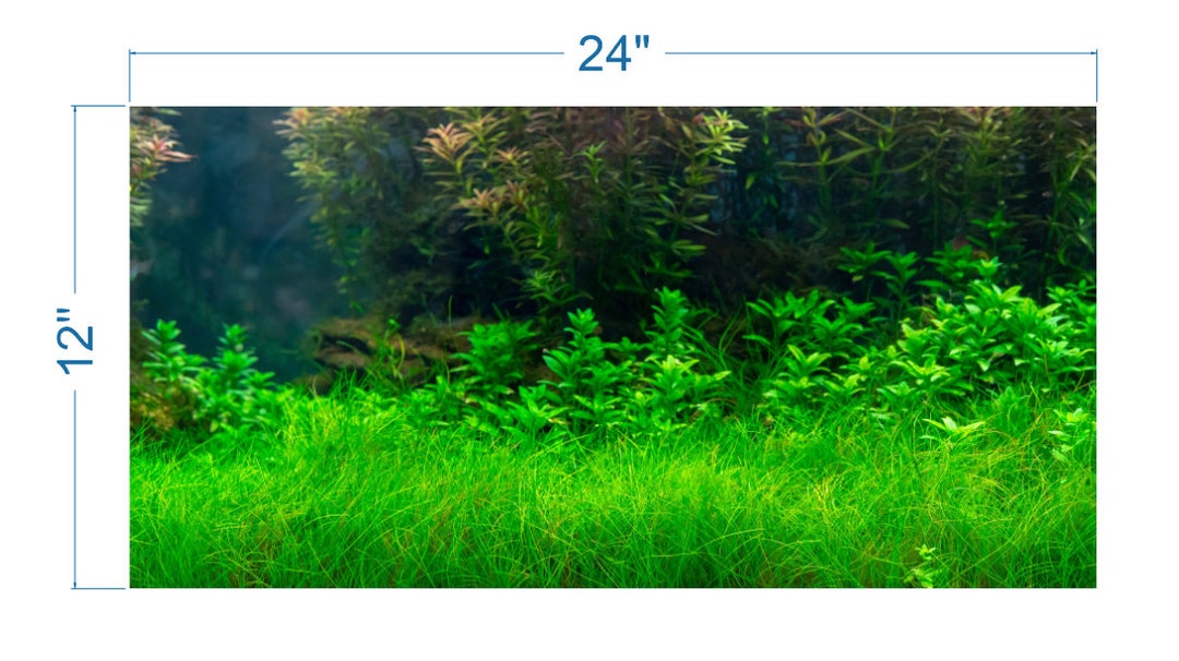 Aquarium Background Rock Wall Vinyl Graphic Adhesive AQ0030 - Etsy