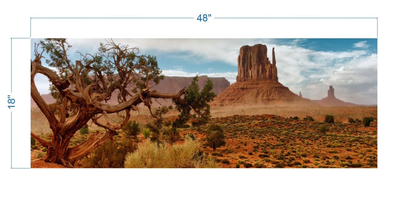 Terrarium Background Desert Landscape - Vinyl Graphic Adhesive TR0001 ...