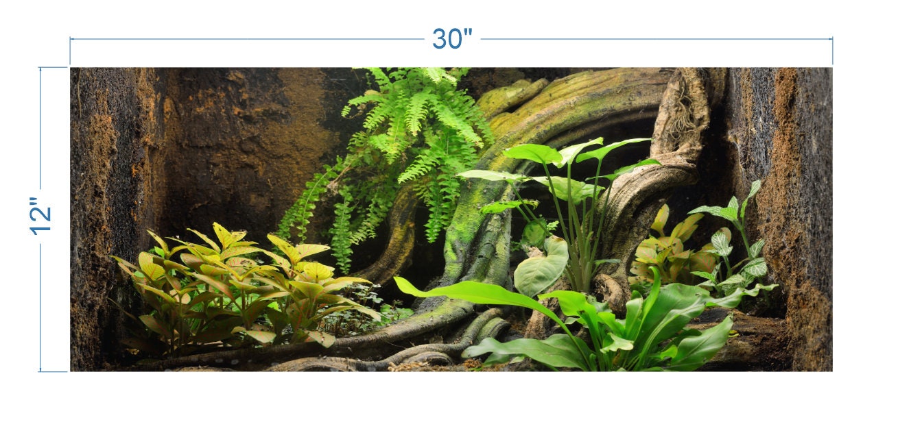 Terrarium Background Tropical Environment 2 - Vinyl Graphic Adhesive ...