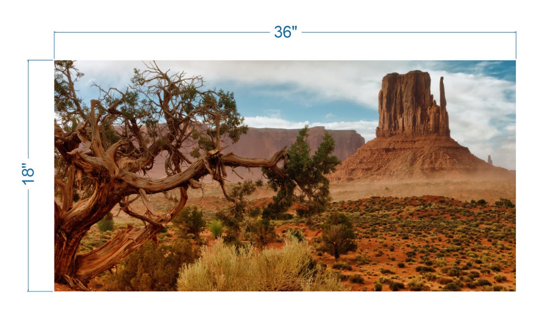 Terrarium Background Desert Landscape - Vinyl Graphic Adhesive TR0001 ...