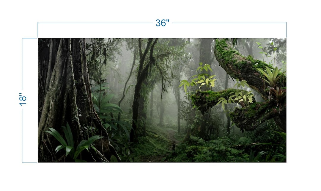 Terrarium Background Tropical Forest - Vinyl Graphic Adhesive TR0014 - Etsy