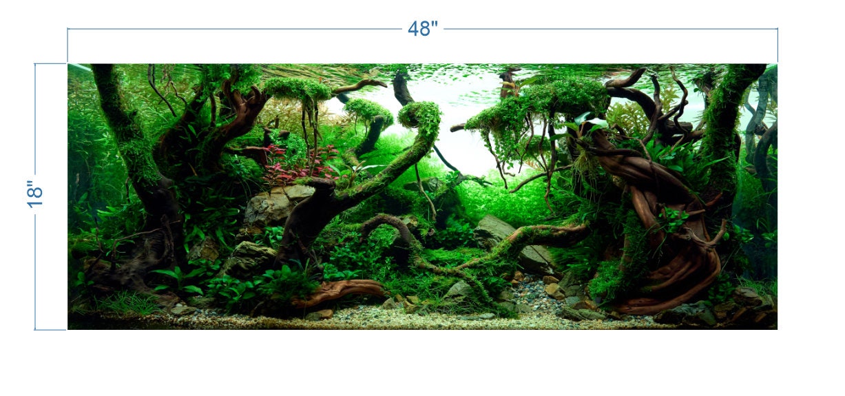 Aquarium Background Tropical Aquascape - Vinyl Graphic Adhesive AQ0036 ...