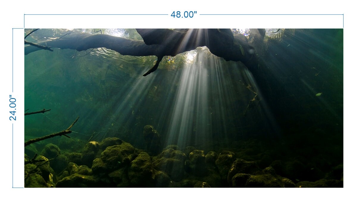 Aquarium Background Underwater Roots Vinyl Graphic Adhesive - Etsy
