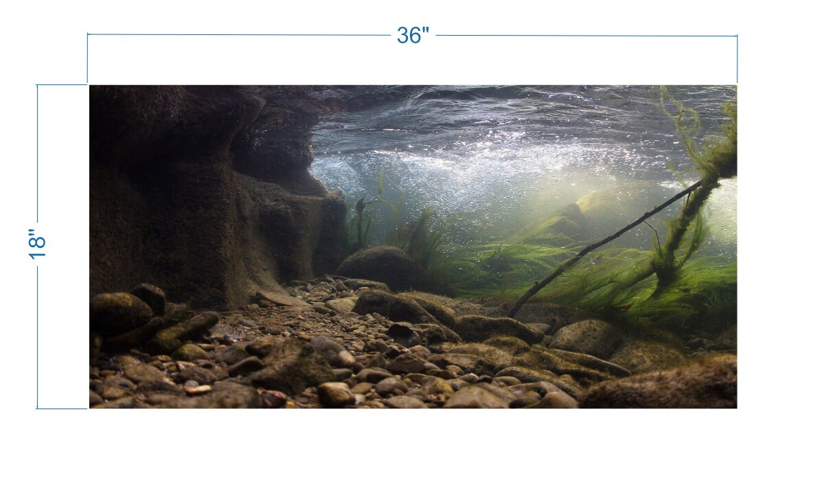 Aquarium Background River Rocks Underwater - Vinyl Graphic Adhesive ...