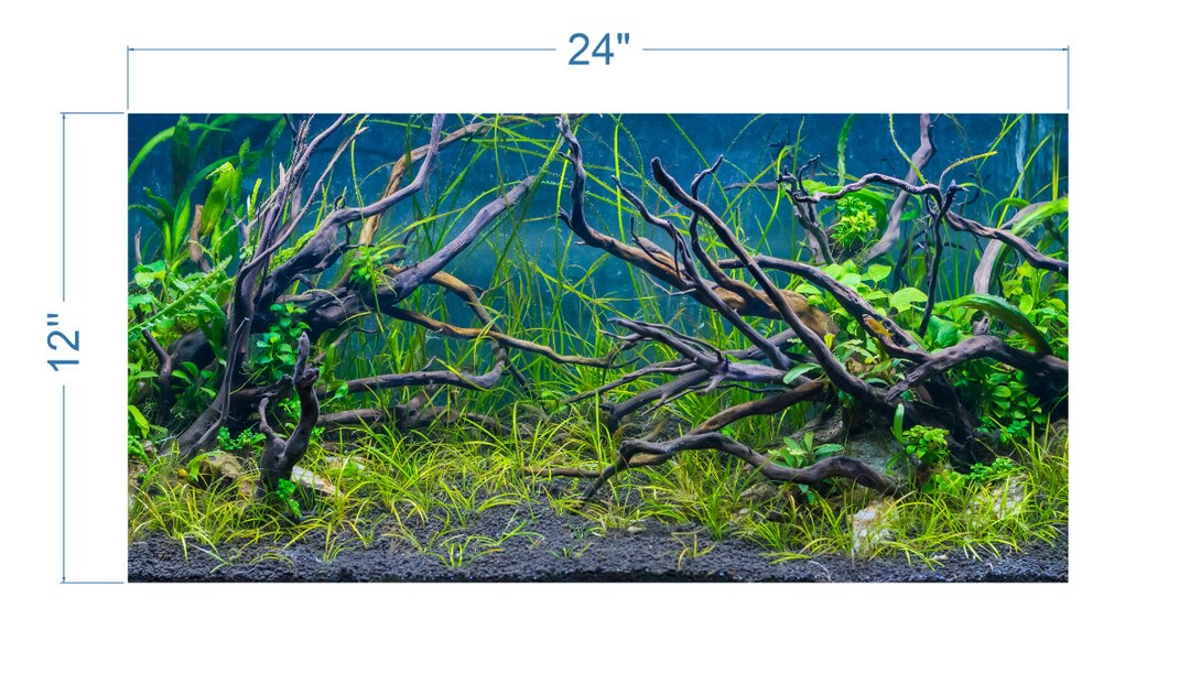 Aquarium Background Planted Aquarium Tropical 3 - Vinyl Graphic ...