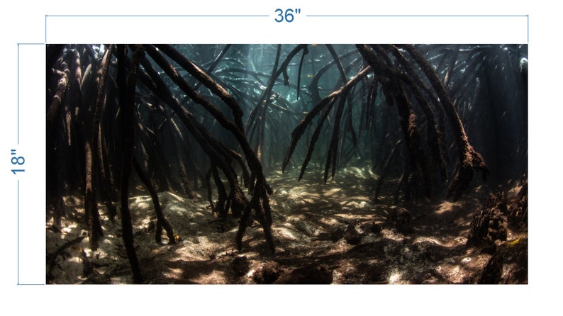 Aquarium Background Underwater Roots - Vinyl Graphic Adhesive AQ0034 - Etsy