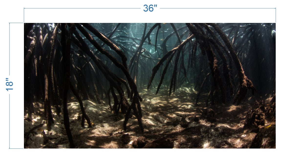 Aquarium Background Underwater Roots - Vinyl Graphic Adhesive AQ0034 - Etsy