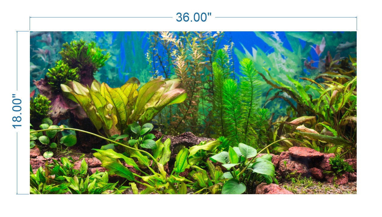 Aquarium Background Planted Aquarium Tropical 2 - Vinyl Graphic ...