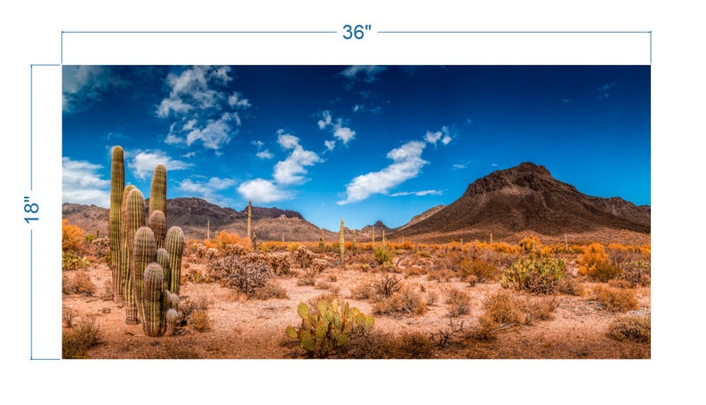 Terrarium Background Desert Landscape V2 - Vinyl Graphic Adhesive ...