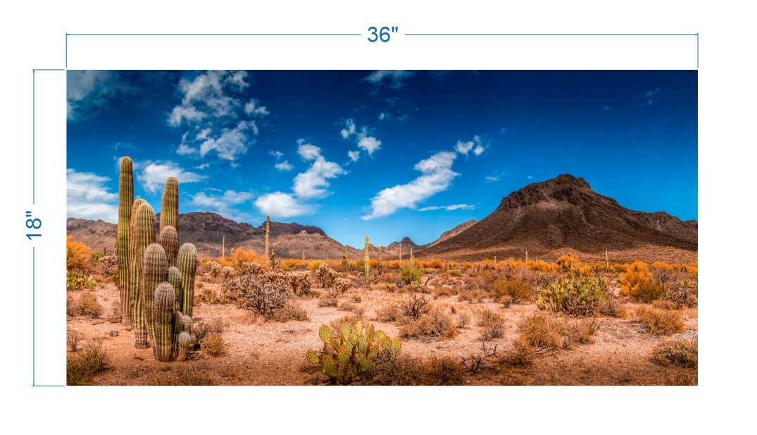 Terrarium Background Desert Landscape V2 - Vinyl Graphic Adhesive ...