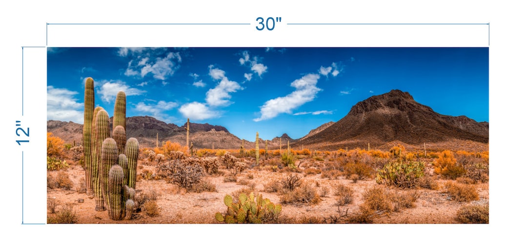 Terrarium Background Desert Landscape V2 - Vinyl Graphic Adhesive ...