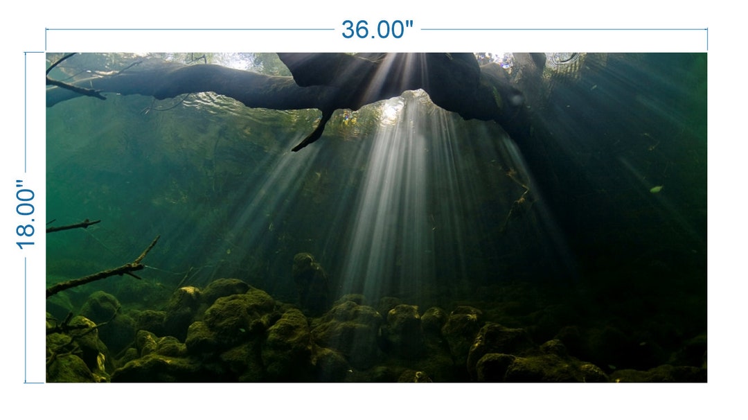 Aquarium Background Underwater Roots Vinyl Graphic Adhesive AQ0015 - Etsy