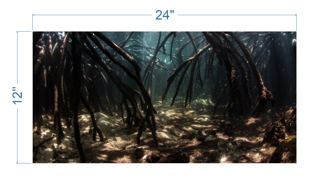 Aquarium Background Underwater Roots - Vinyl Graphic Adhesive AQ0034 - Etsy