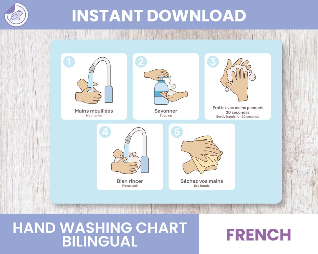 French Hand Washing Chart/educational Chart/hand Wash Routine - Etsy