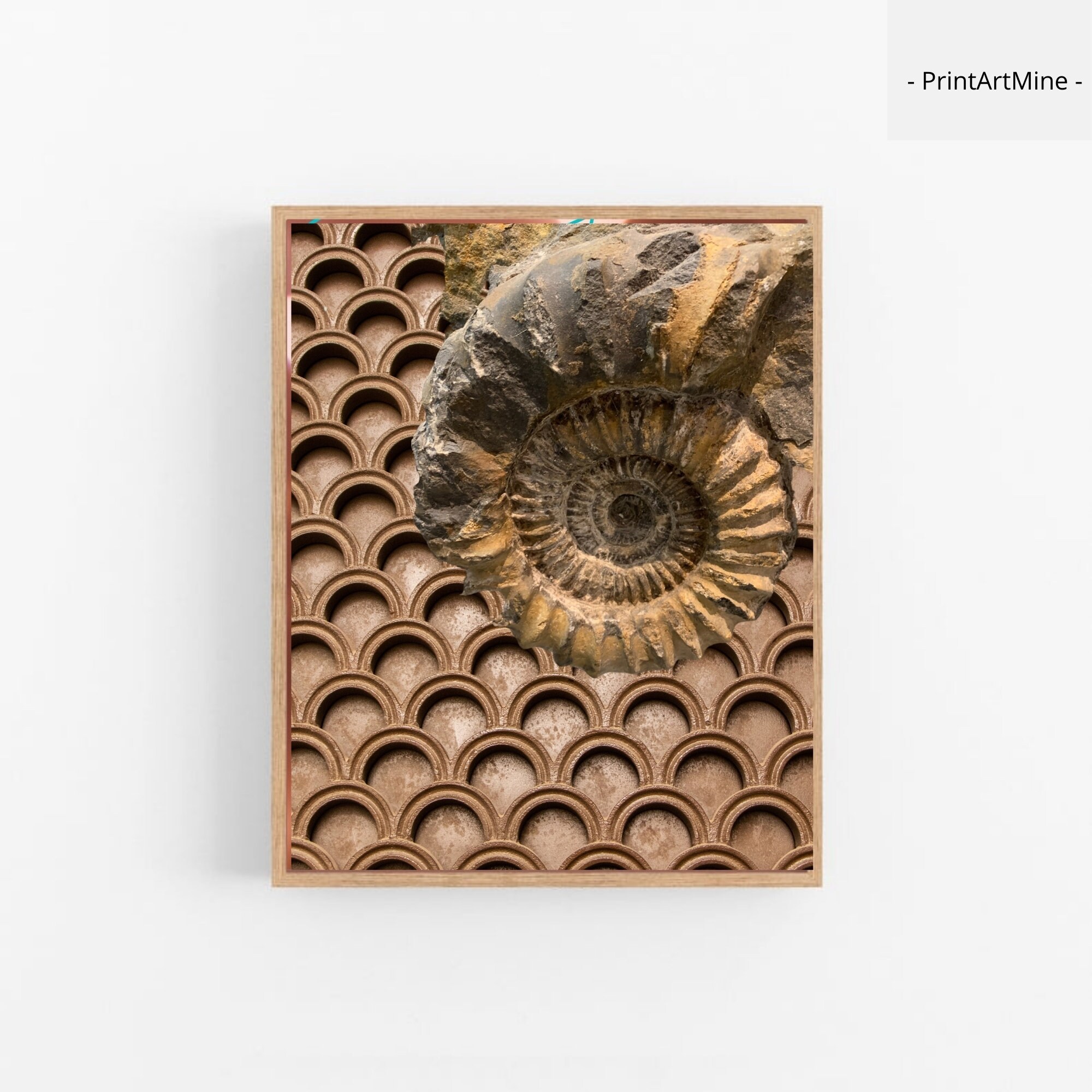 Printable Artwork Ammonite, Printable Wall Art, Printable Poster ...