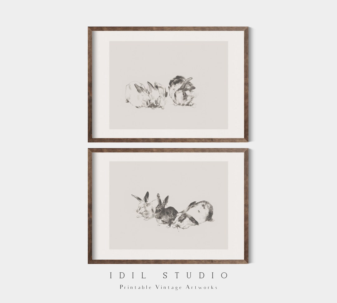 Antique Rabbit Sketch Set of 2 Vintage Easter Bunny Drawing Rustic ...