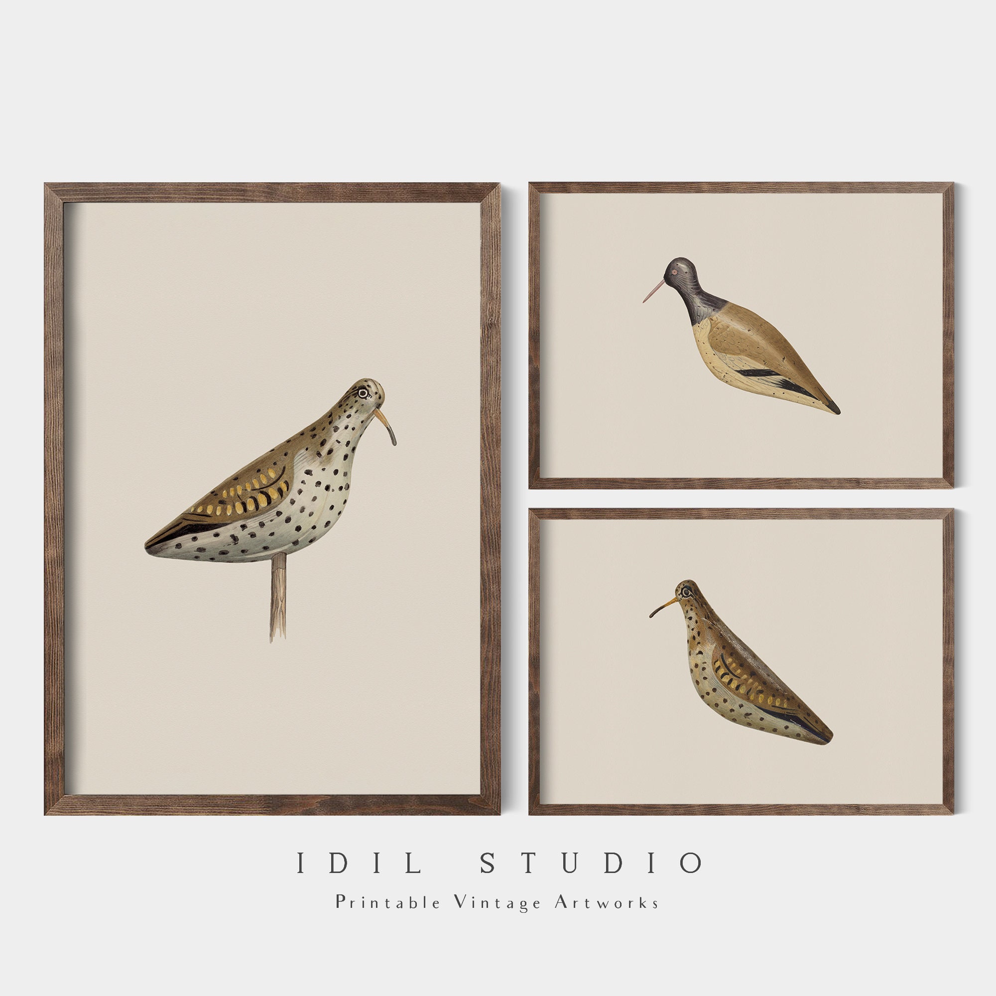 Rustic Nursery Animal Drawing Set Vintage Bird Decor Set of - Etsy
