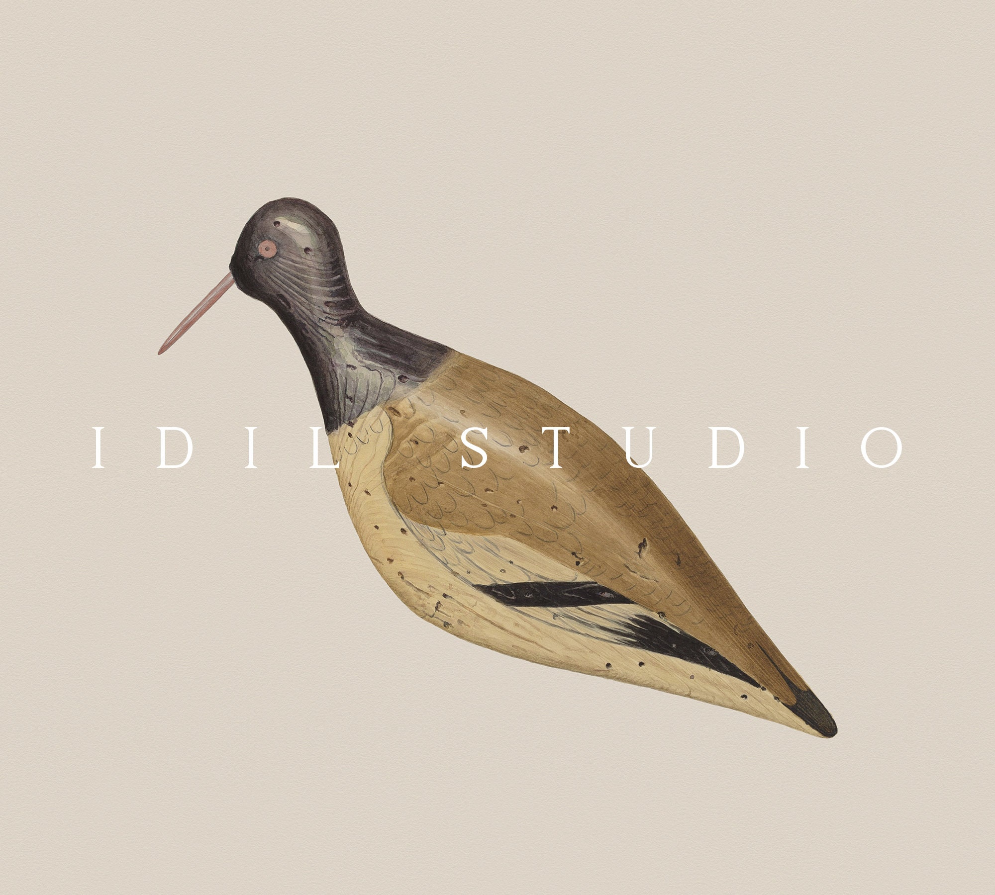 Rustic Nursery Animal Drawing Set Vintage Bird Decor Set of - Etsy